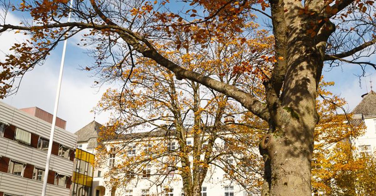 Valen sjukehus - Helse Fonna HF